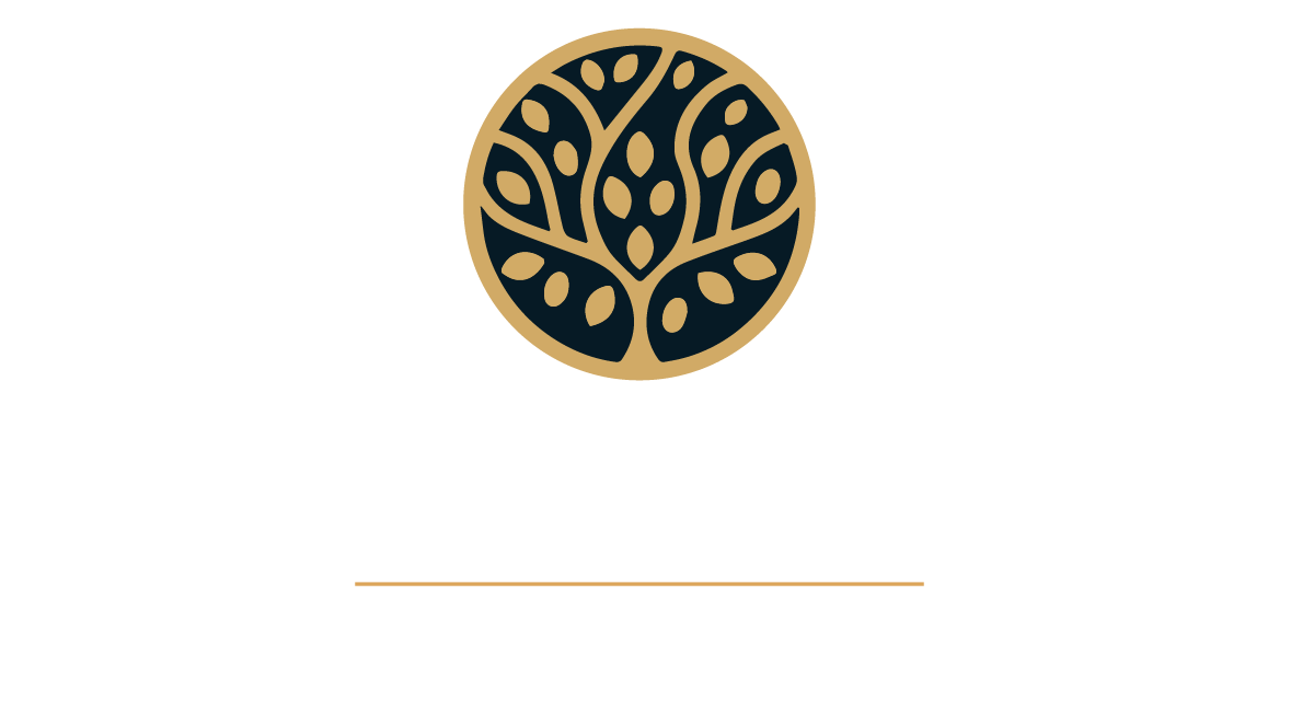 ARIA PARK - Full Experience Coming Soon